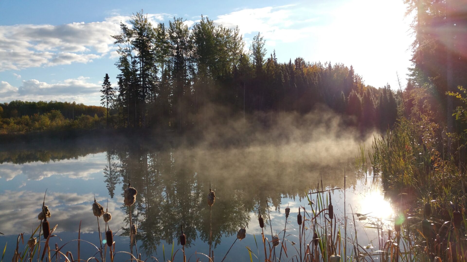 Wondering about Wetlands? - Pathways Alliance